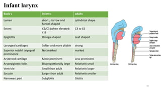 Anatomy of larynx and tracheobronchial tree | PPTX