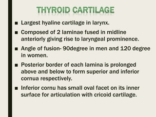Anatomy of larynx with spaces w/n larynx | PPTX