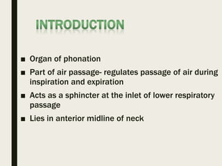Anatomy of larynx with spaces w/n larynx | PPTX