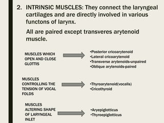Anatomy of larynx with spaces w/n larynx | PPTX