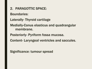 Anatomy of larynx with spaces w/n larynx | PPTX