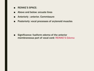 Anatomy of larynx with spaces w/n larynx | PPTX