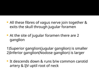 ANATOMY OF LARYNX with subsites and hidden areas .pptx