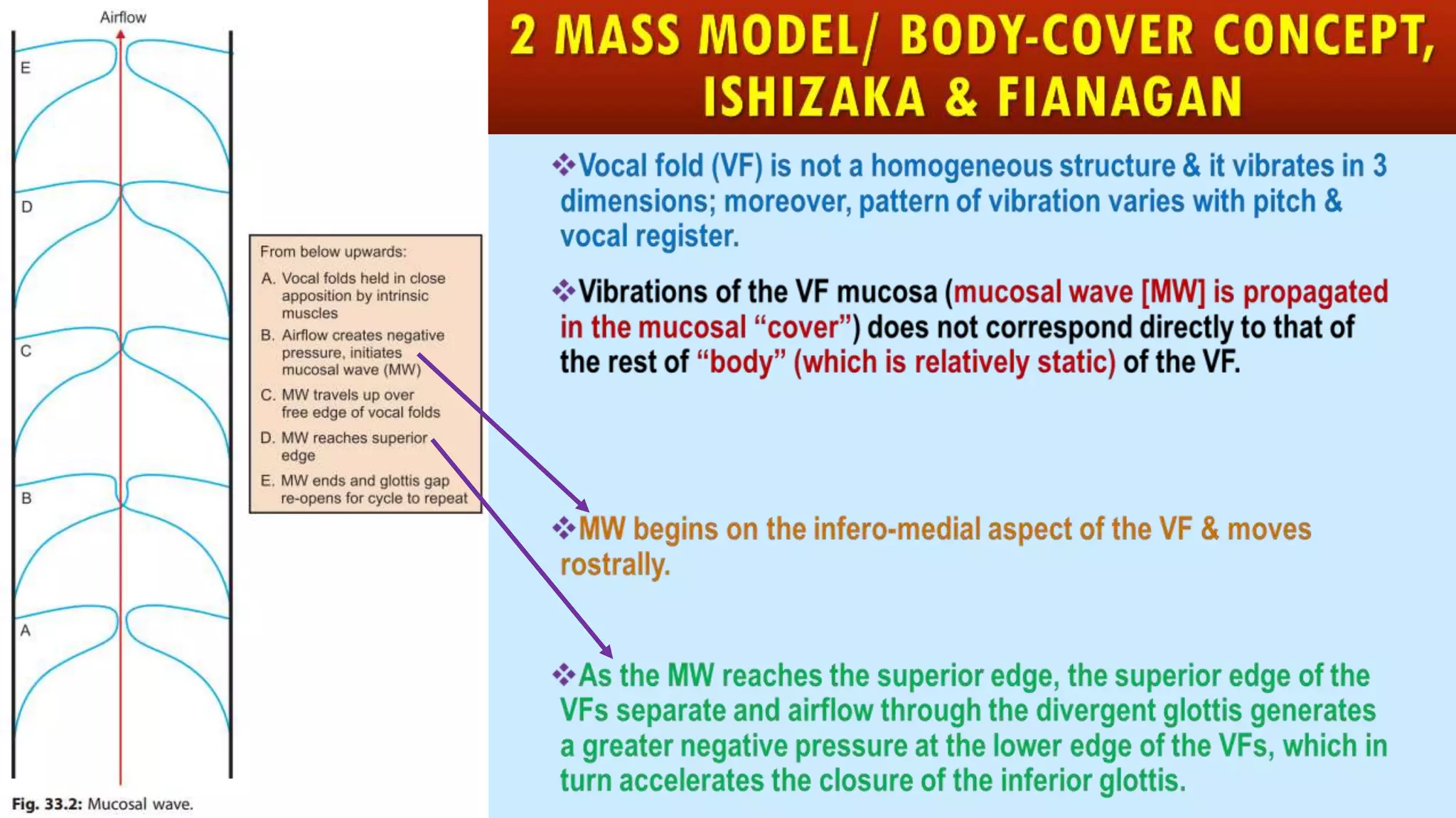 Anatomy of larynx & physiology of phonation | PPT