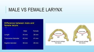 Anatomy of larynx ppt | PPTX