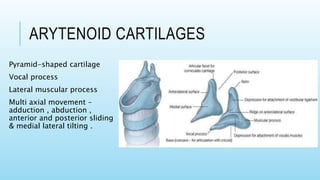 Anatomy of larynx ppt | PPTX