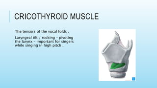 Anatomy of larynx ppt | PPTX