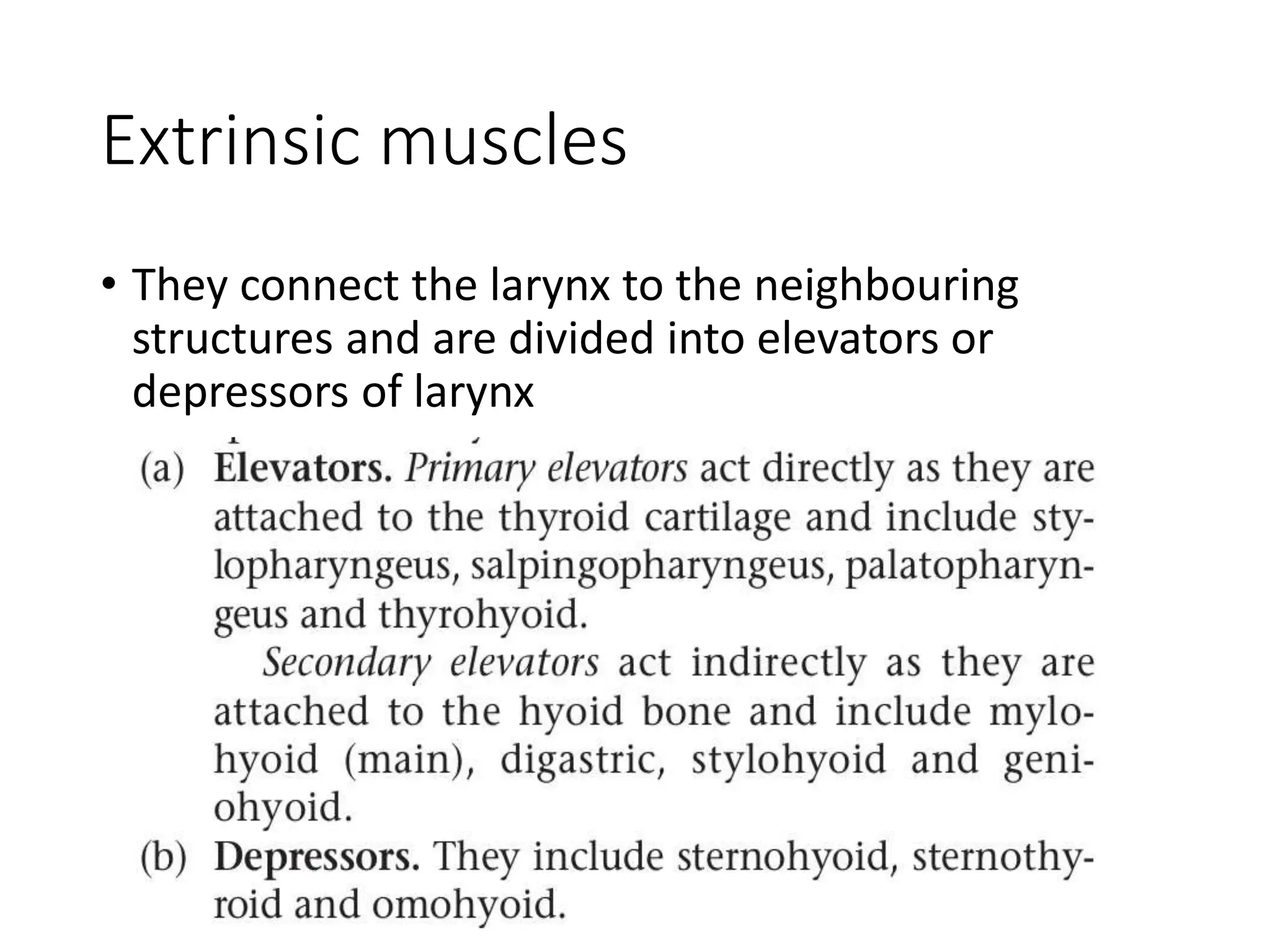 Anatomy of larynx, detailed discussion highlighting clinical and ...
