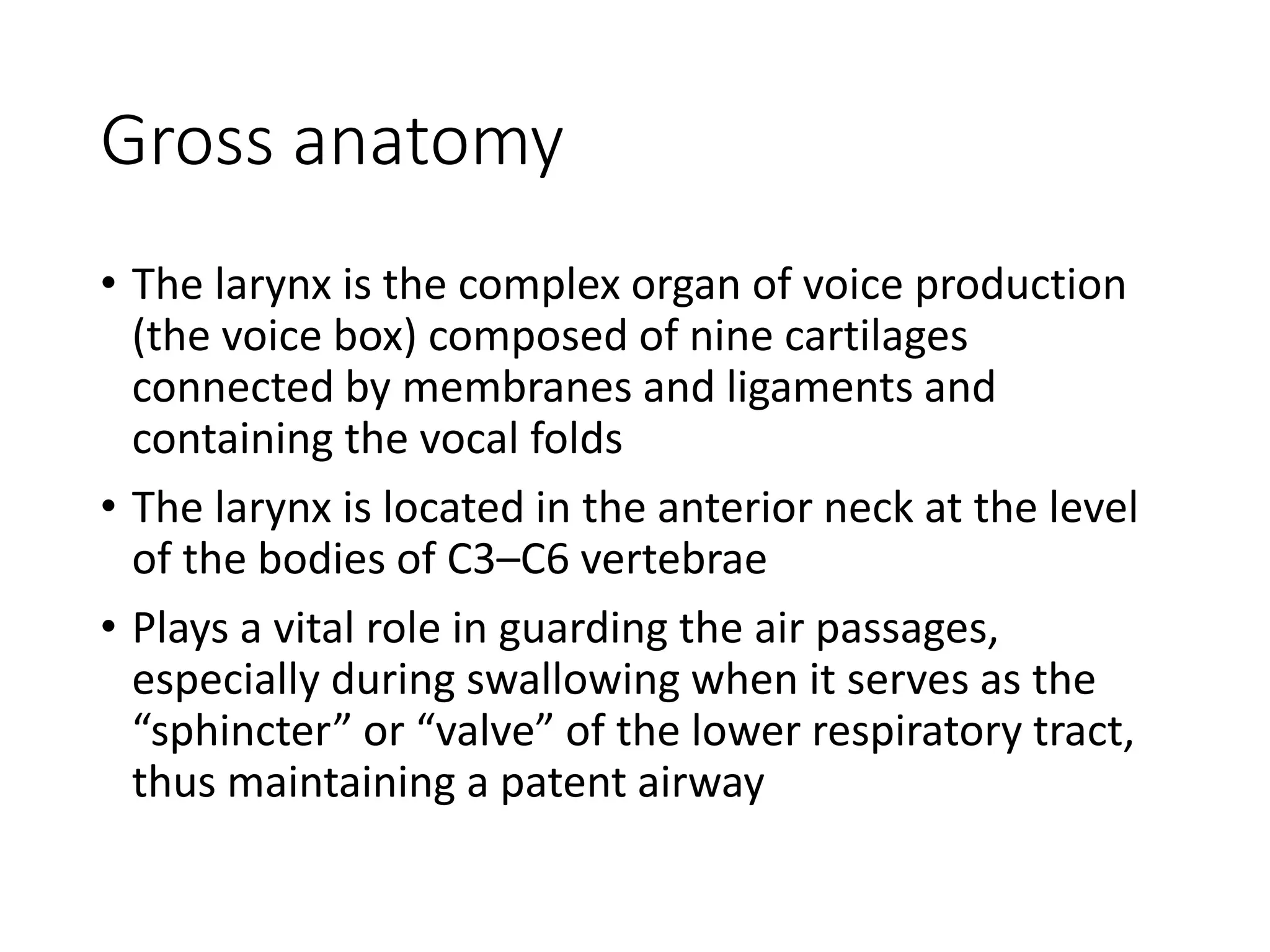 Anatomy of larynx, detailed discussion highlighting clinical and ...