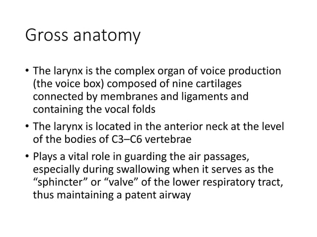 Anatomy of larynx, detailed discussion highlighting clinical and ...