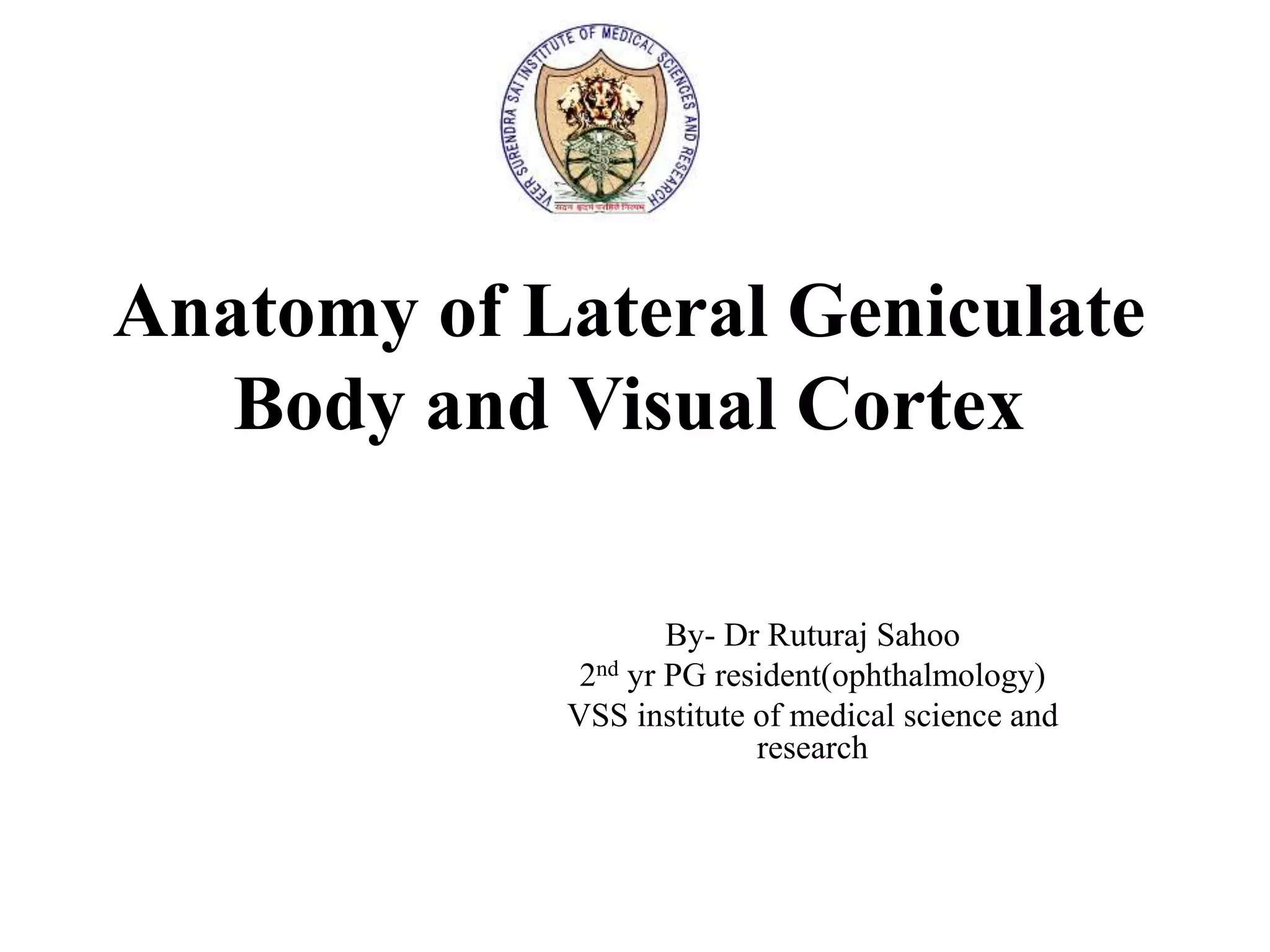 Anatomy of lateral geniculate body and visual cortex | PPTX