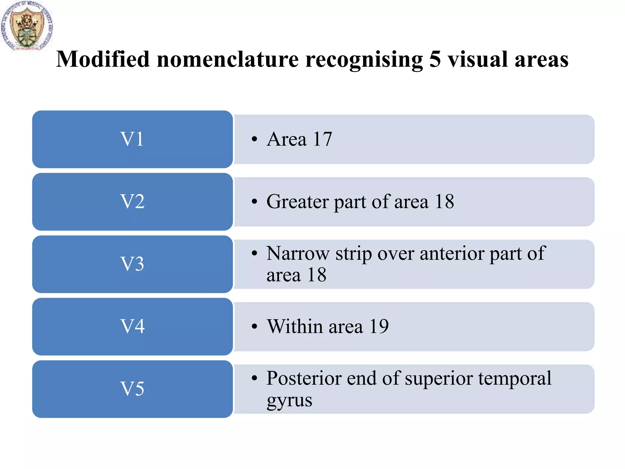 Anatomy of lateral geniculate body and visual cortex | PPTX