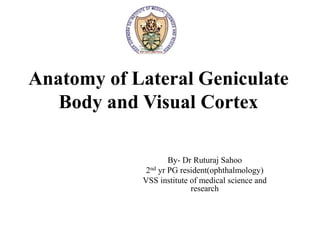 Anatomy of lateral geniculate body and visual cortex | PPTX
