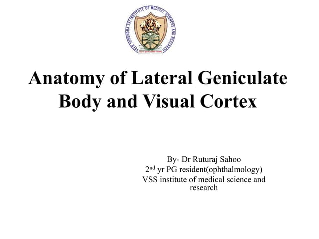 Anatomy of lateral geniculate body and visual cortex | PPTX | Brain and ...