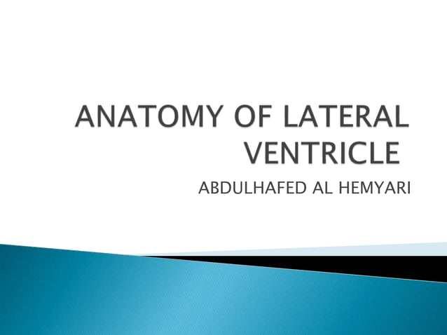 Anatomy of lateral ventricle | PPTX | Brain and Nervous System ...