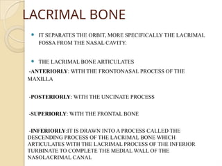 ANATOMY OF LATERAL WALL OF NOSE.pptx detailed | PPTX