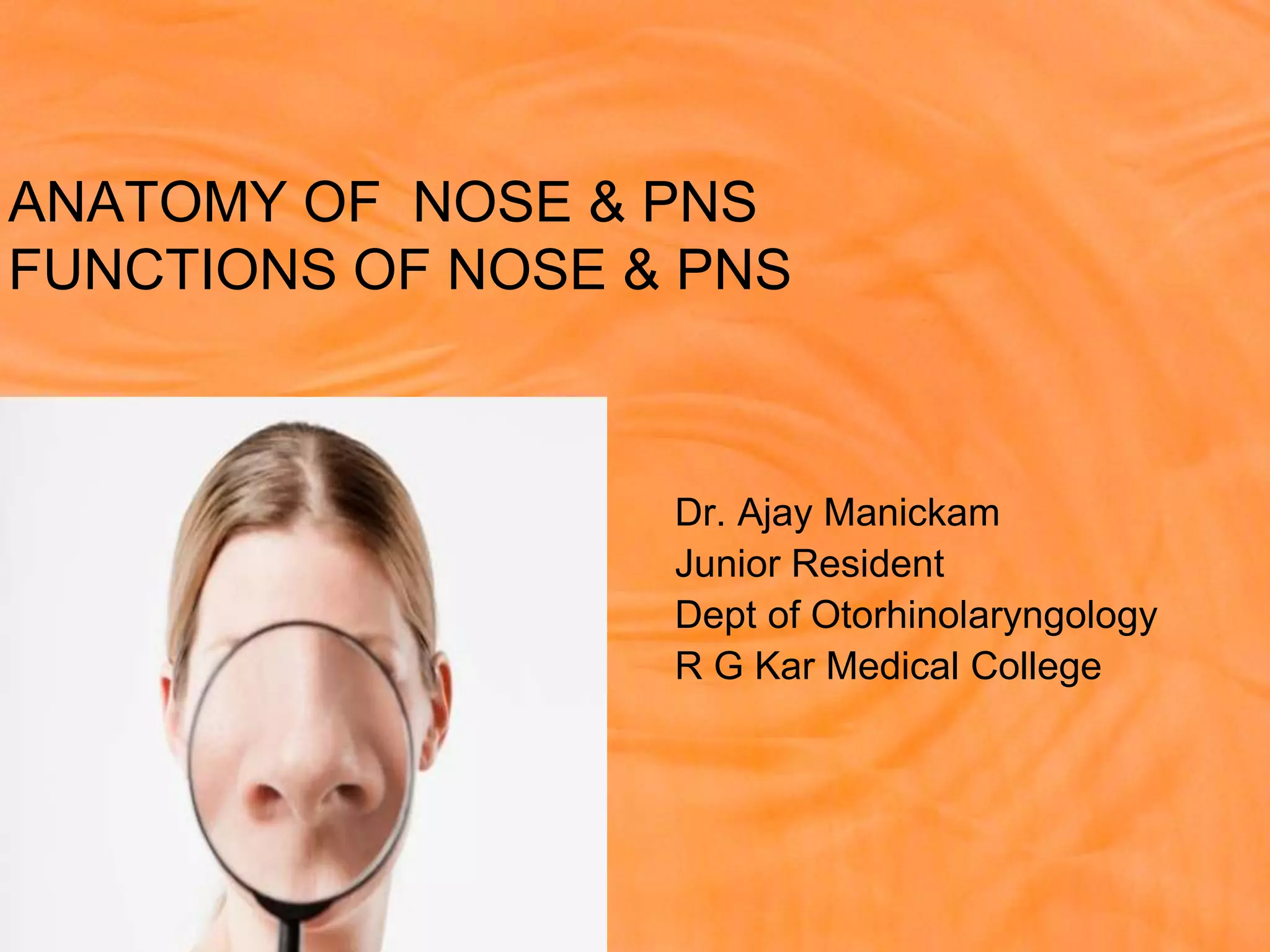 Anatomy of lateral wall of nose & pns ajay m | PPTX