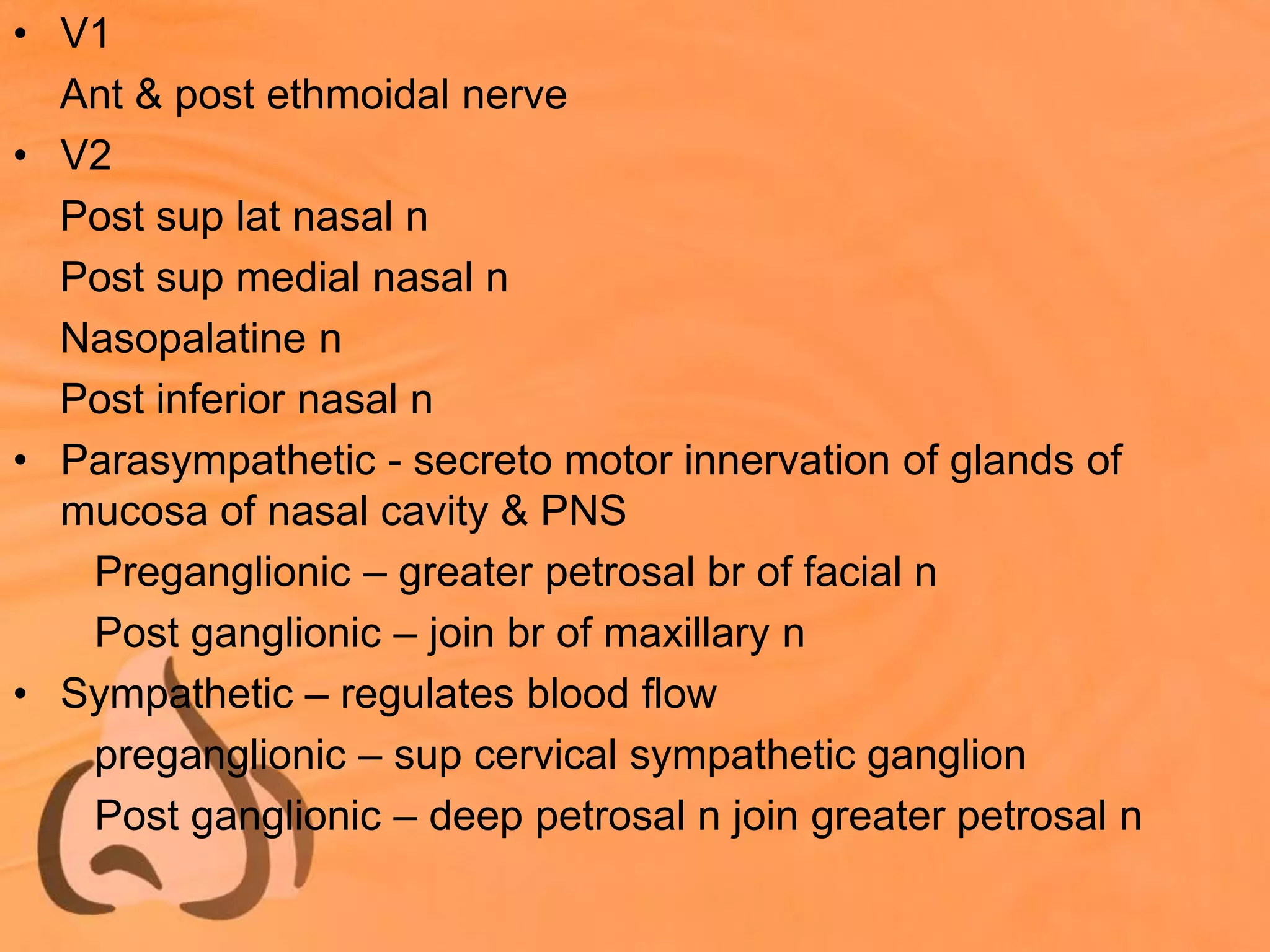 Anatomy of lateral wall of nose & pns ajay m | PPTX