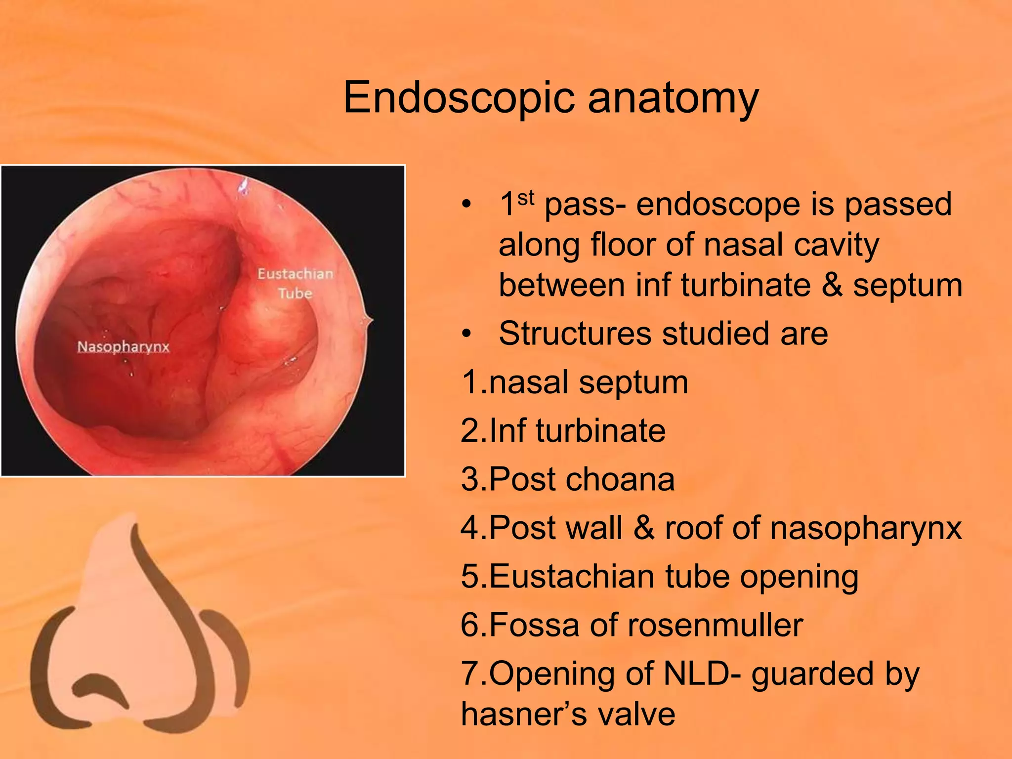 Anatomy of lateral wall of nose & pns ajay m | PPTX
