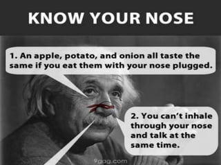 Anatomy of lateral wall of nose & pns ajay m | PPTX