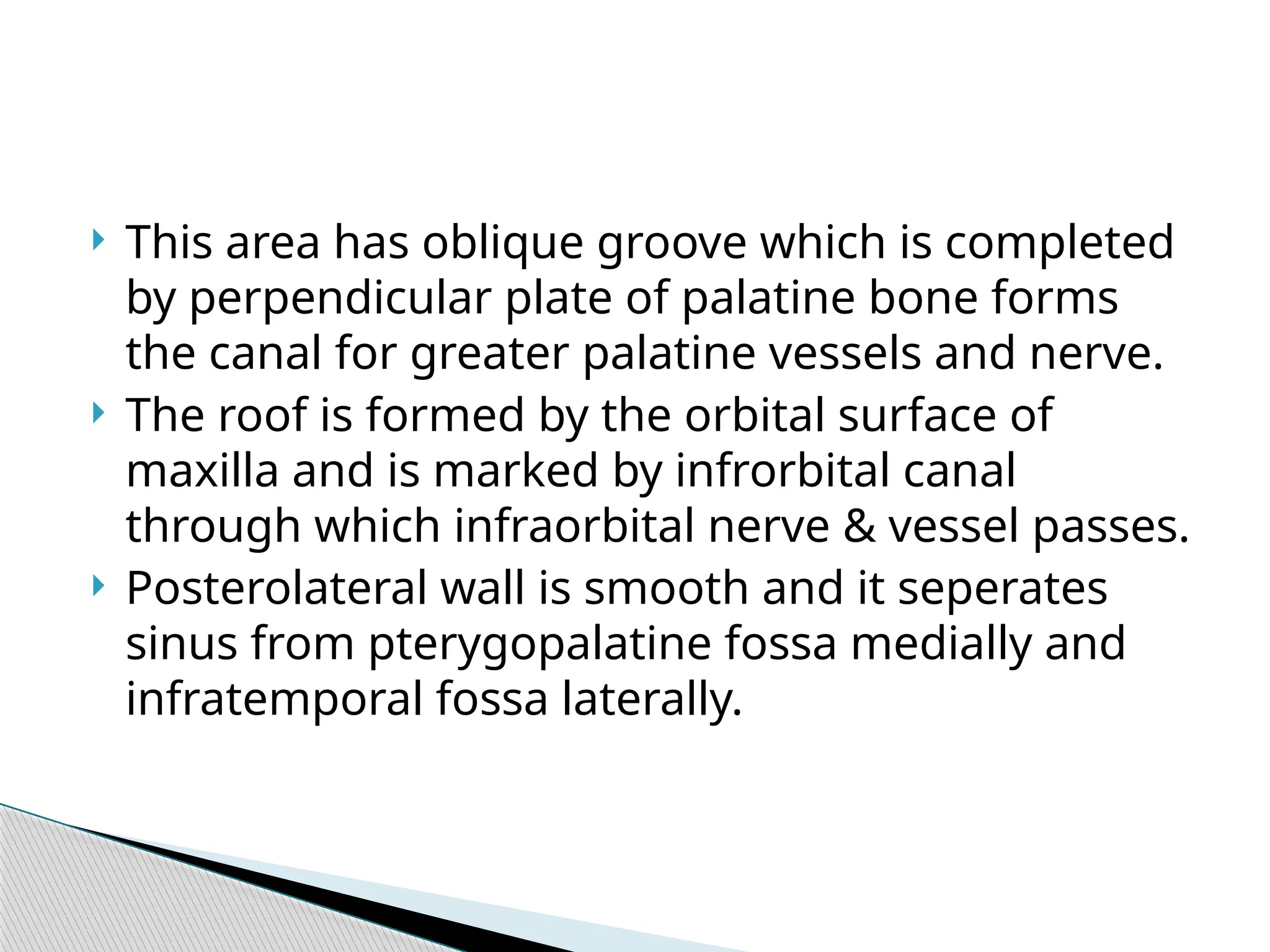Anatomy of lateral wall of the nose.pptx
