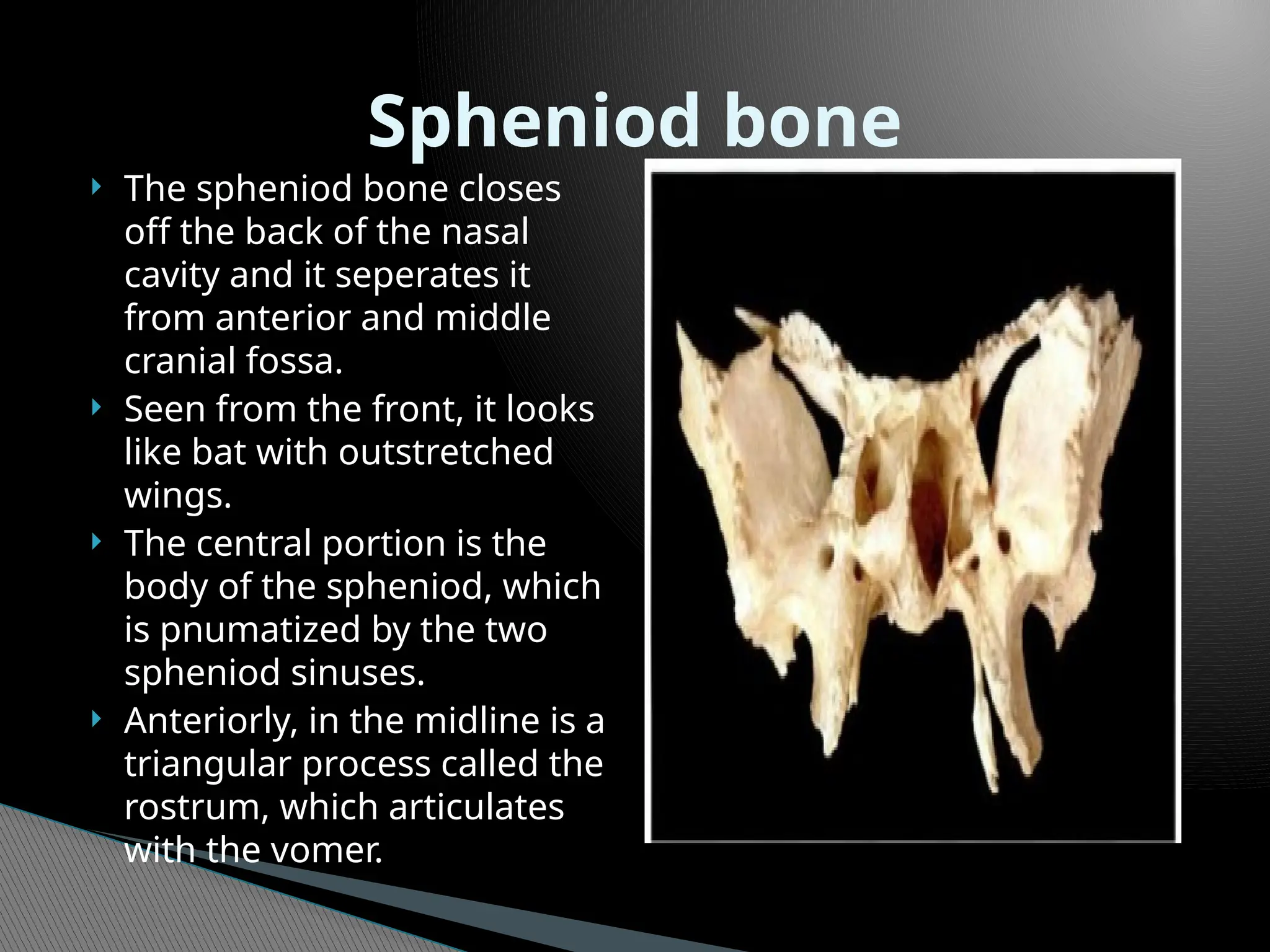 Anatomy of lateral wall of the nose.pptx
