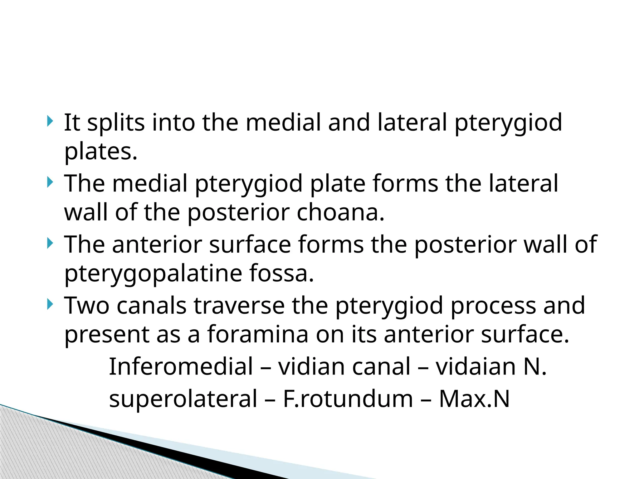 Anatomy of lateral wall of the nose.pptx
