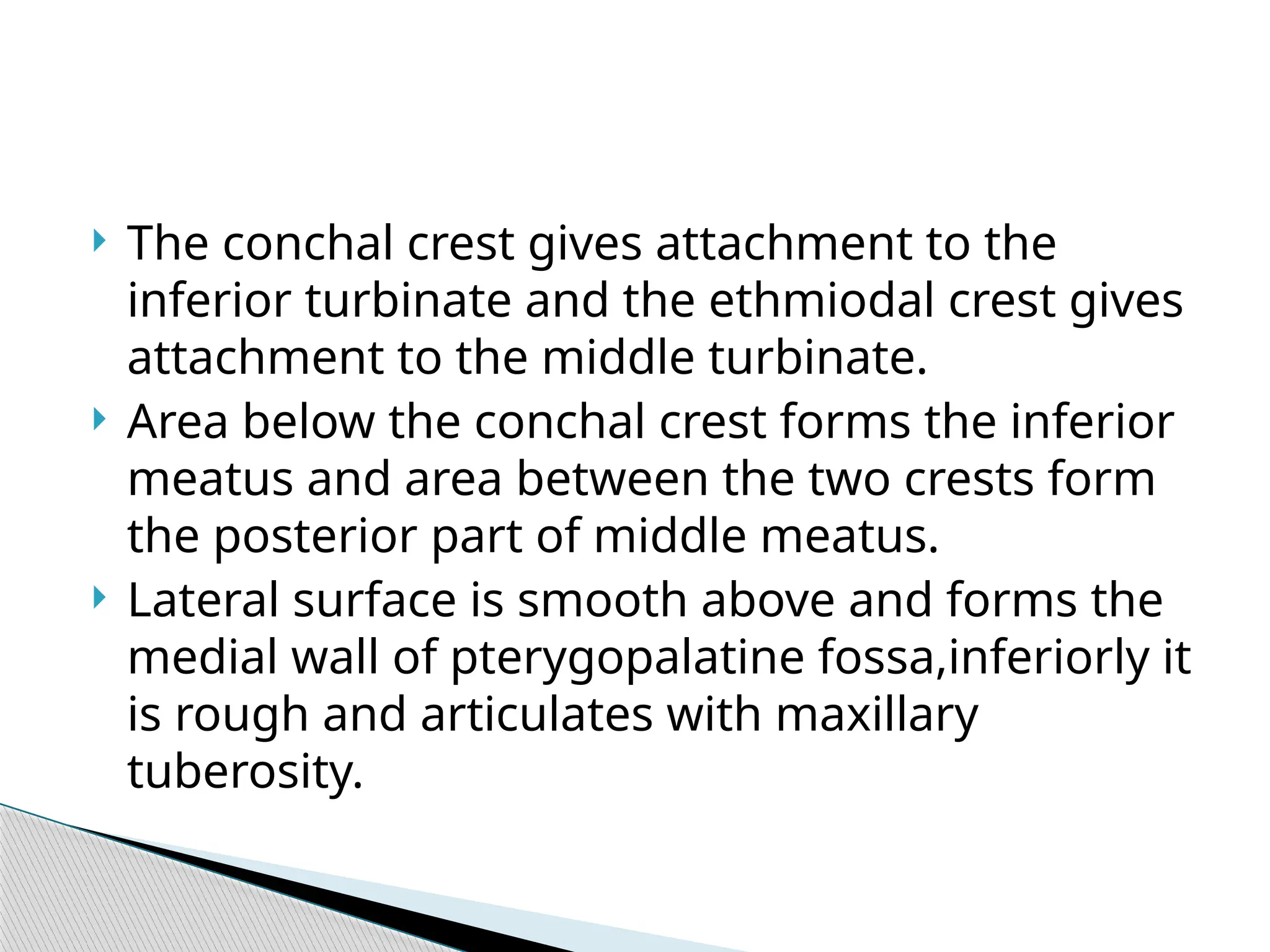 Anatomy of lateral wall of the nose.pptx