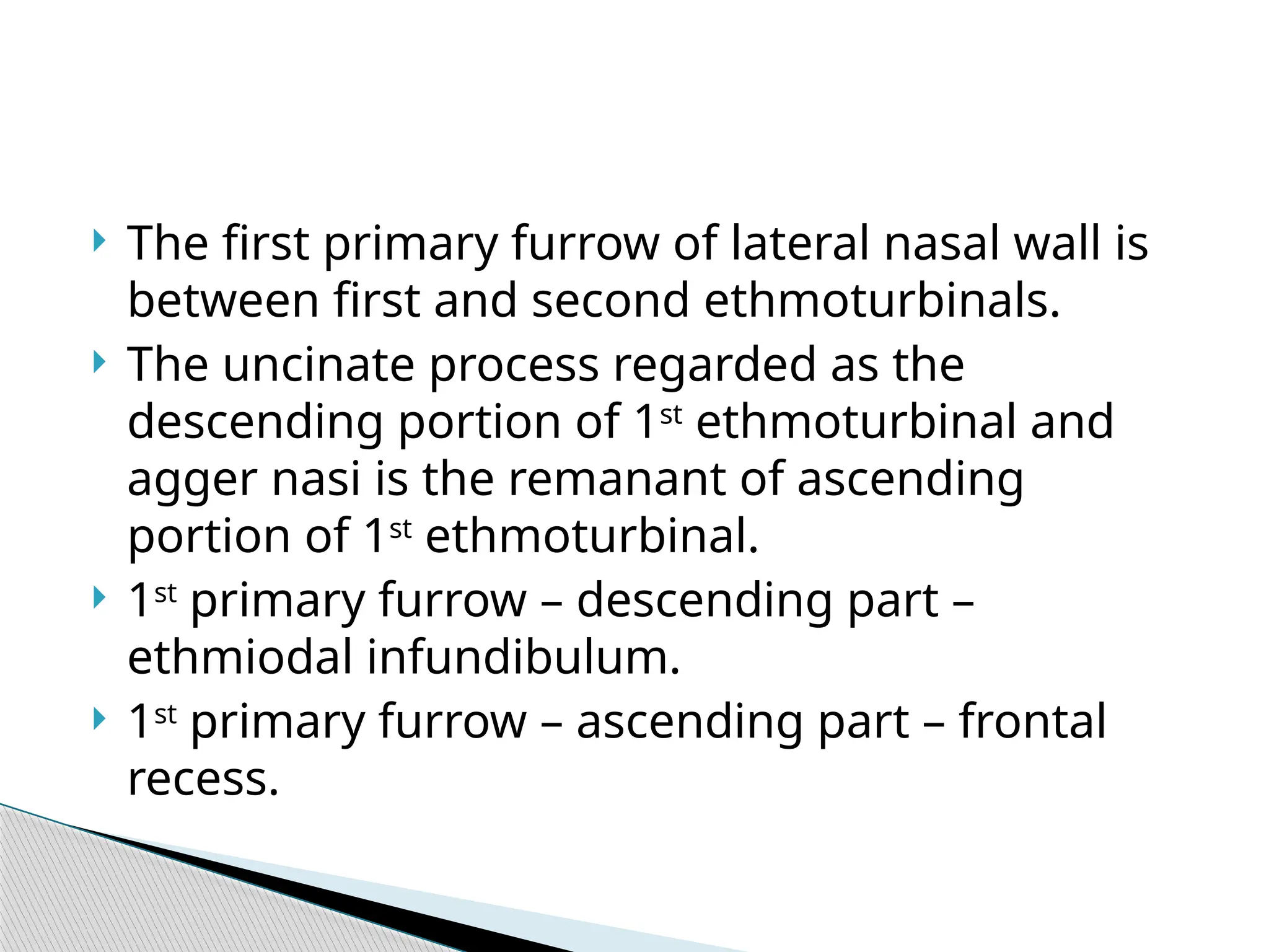 Anatomy of lateral wall of the nose.pptx