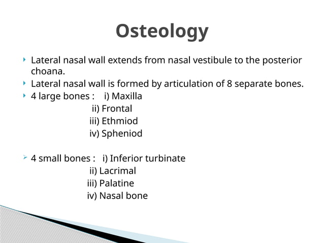 Anatomy of lateral wall of the nose.pptx