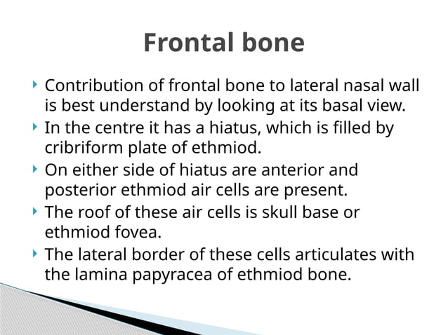 Anatomy of lateral wall of the nose.pptx