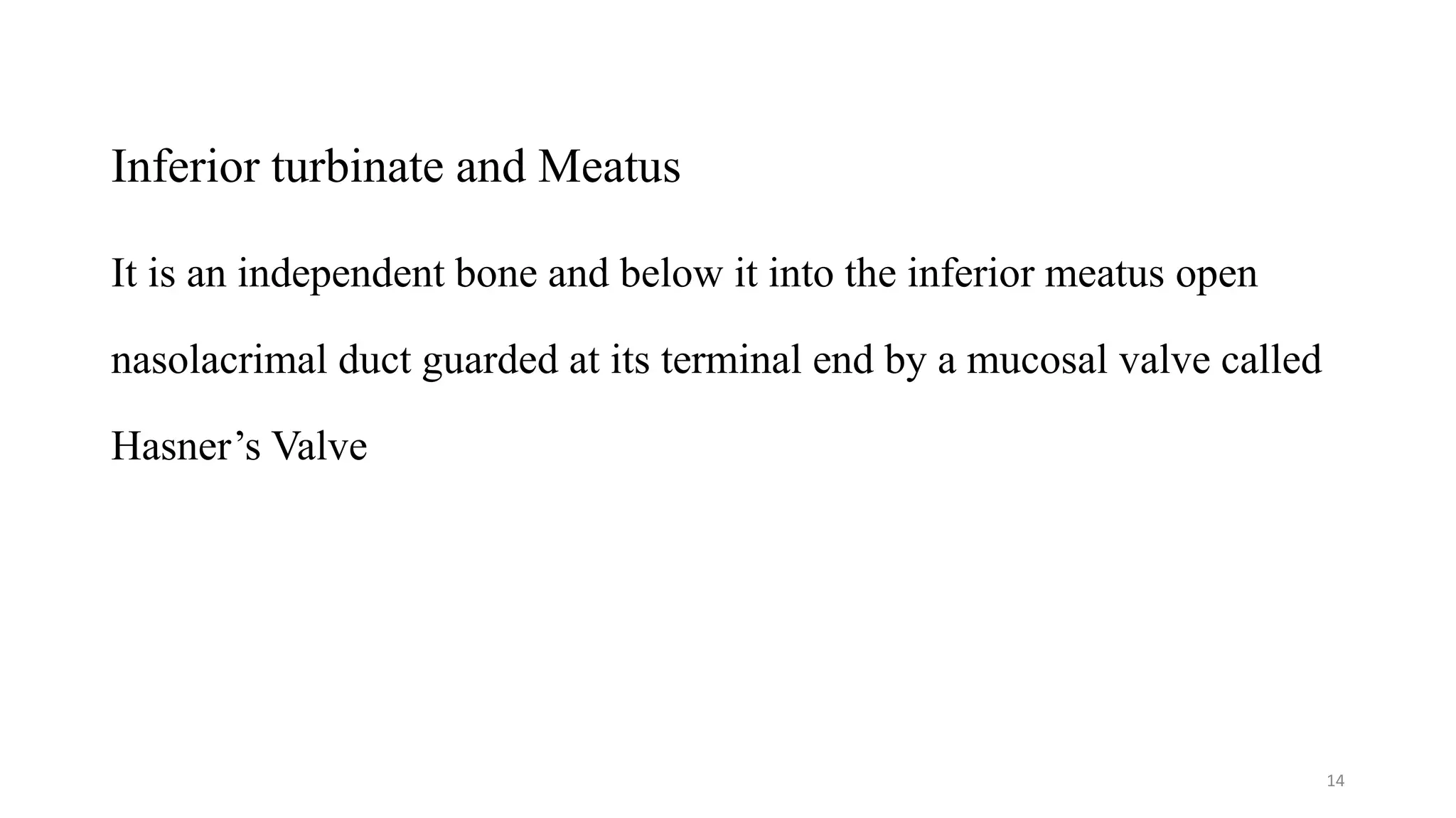 ANATOMY OF LATERAT WALL NOSE OMC.pptx