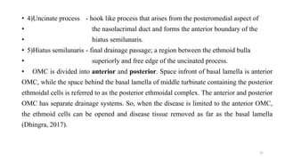 ANATOMY OF LATERAT WALL NOSE OMC.pptx