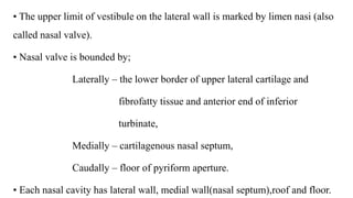 ANATOMY OF LATERAT WALL NOSE OMC.pptx