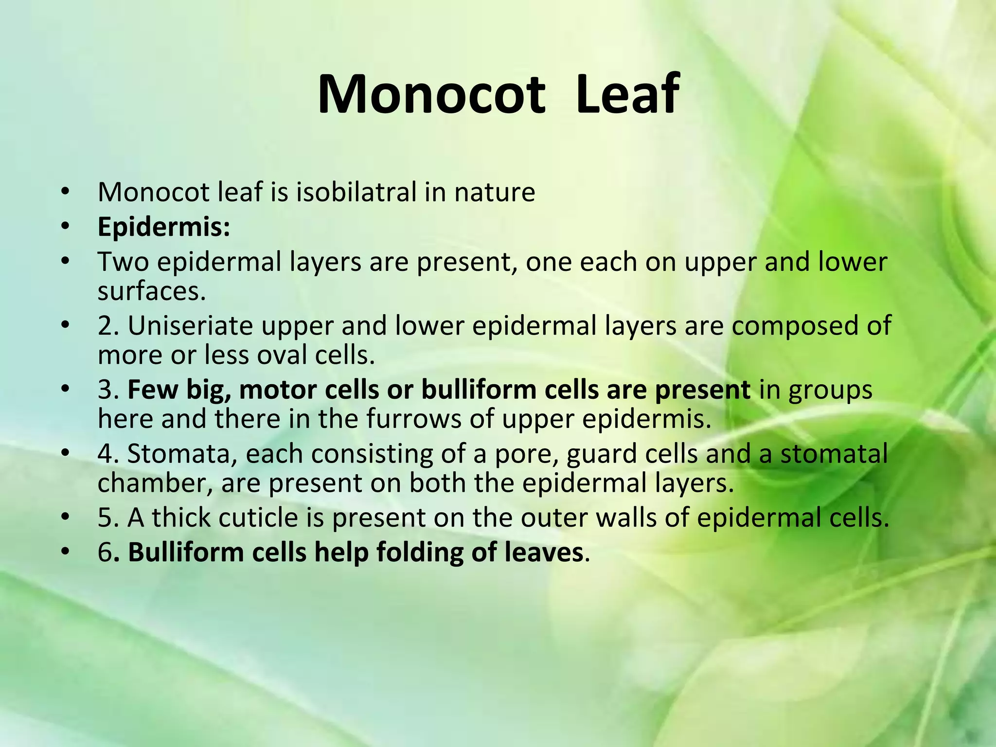 Anatomy of leaves | PPTX