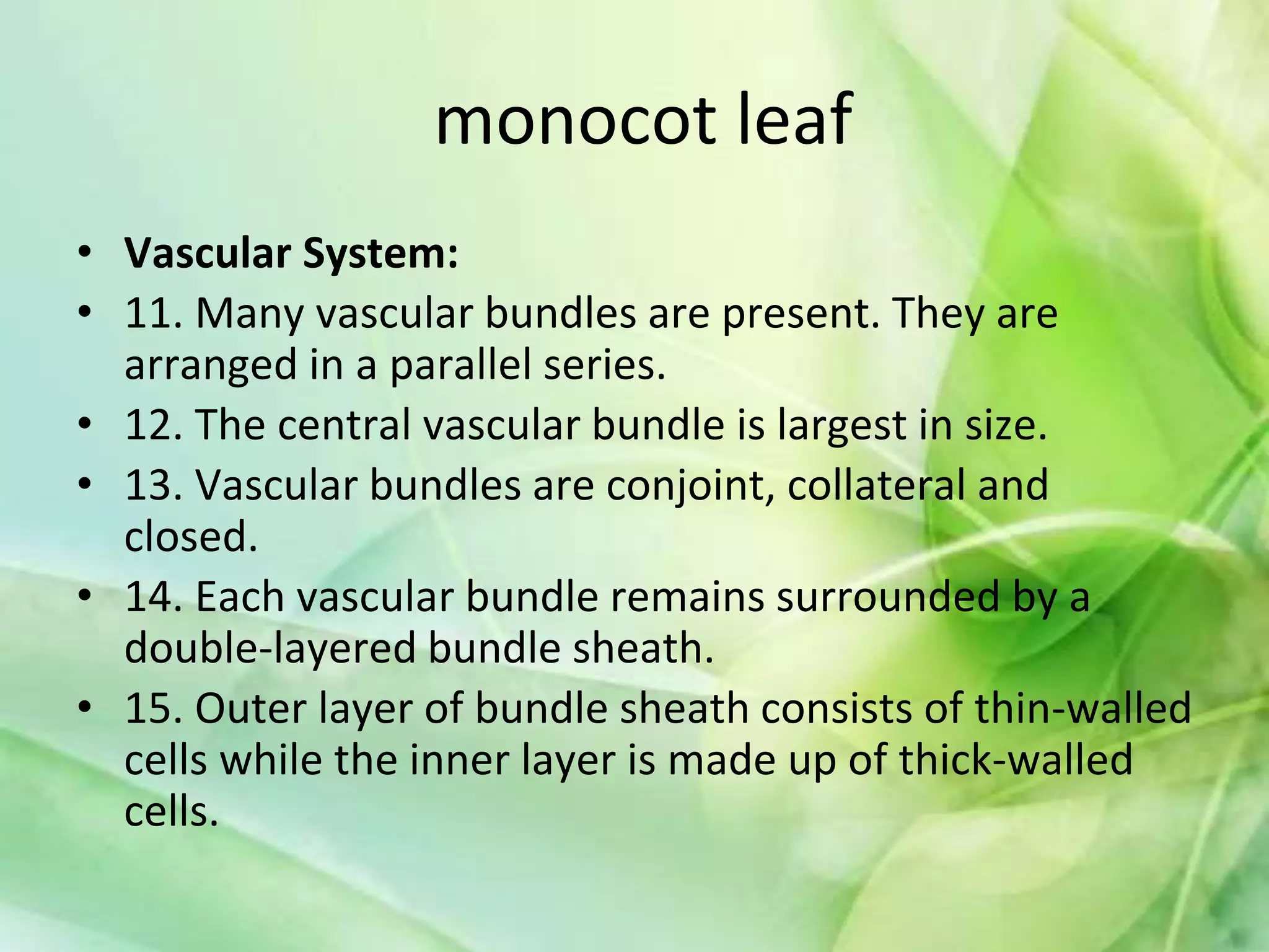 Anatomy of leaves | PPTX