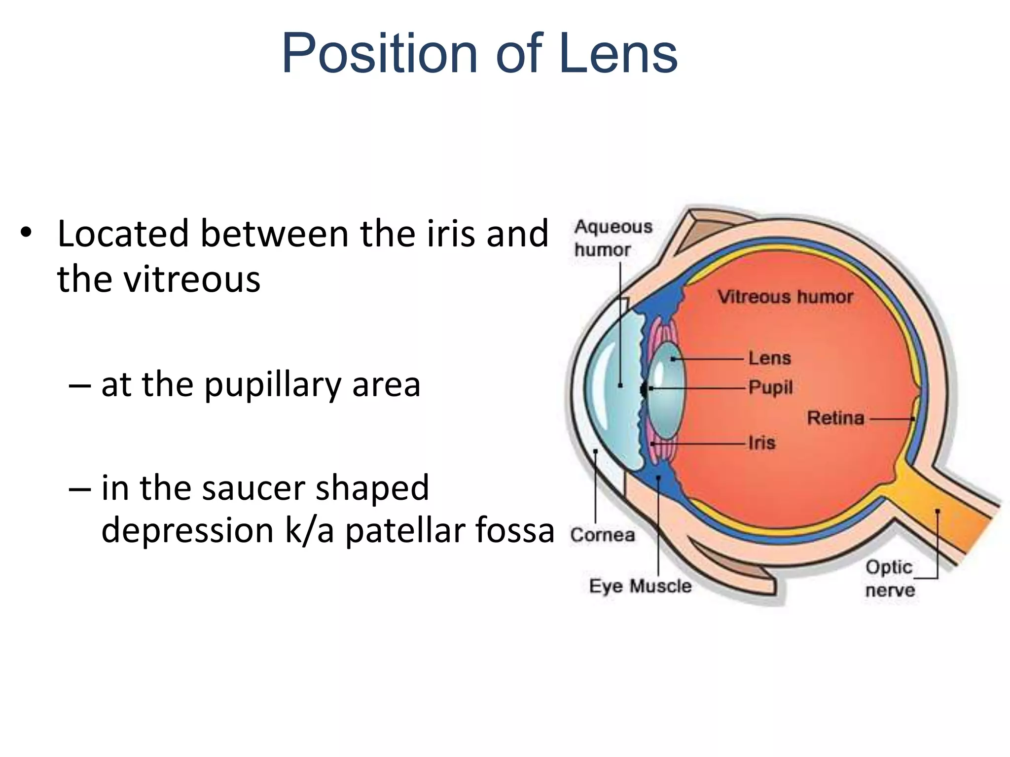 Anatomy of lens | PPTX
