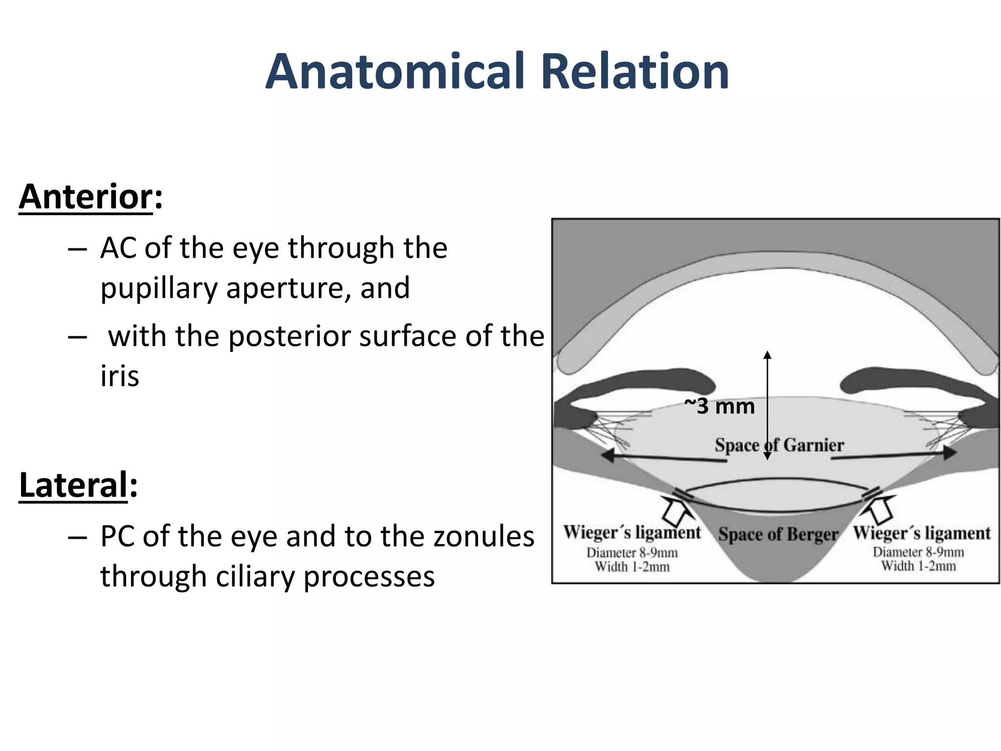 Anatomy of lens | PPTX