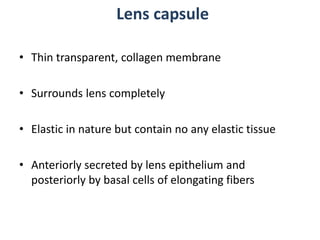 Anatomy of lens | PPTX