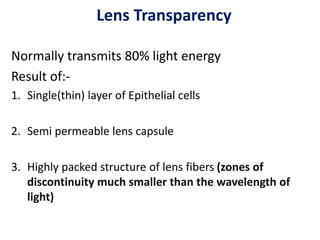 Anatomy of lens | PPTX