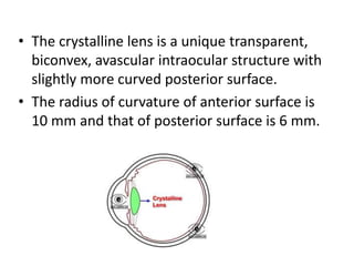 Anatomy of lens | PPTX