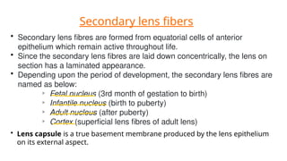 Anatomy of Lens and physiology of lens ppt | PPT
