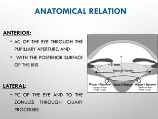 Anatomy of Lens integrated lecture teaching lens features and ...