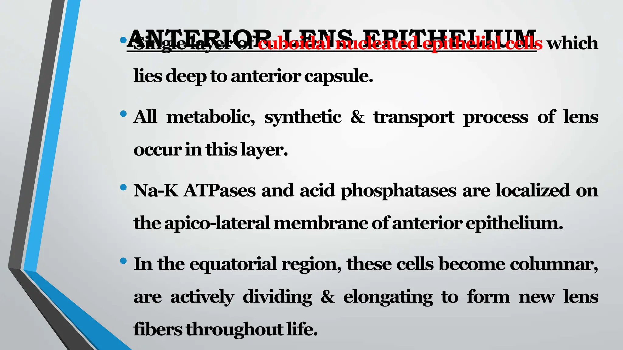 ANATOMY OF LENS AND FACTORS AFFECTING LENS TRANSPARENCY.pptx