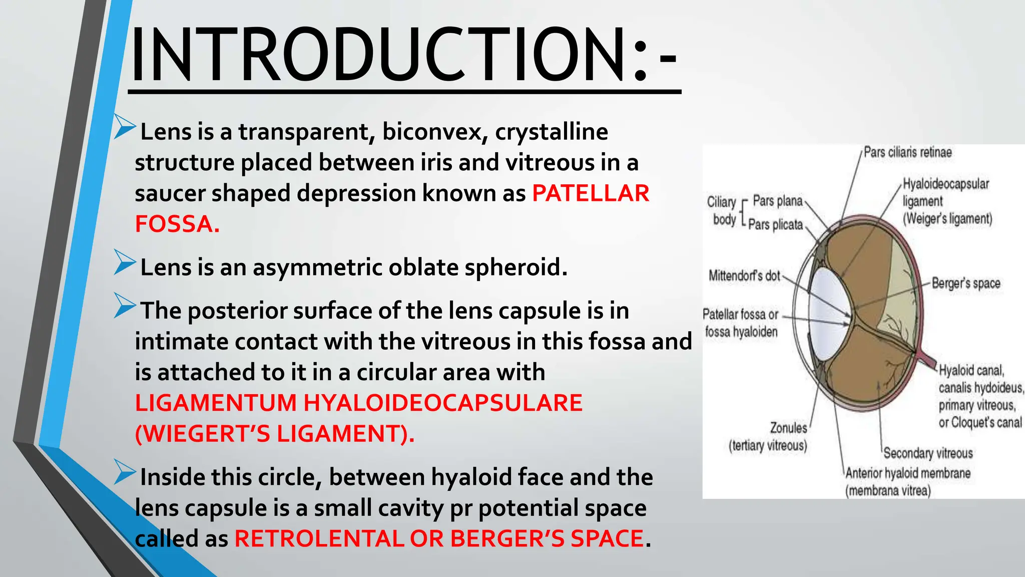 ANATOMY OF LENS AND FACTORS AFFECTING LENS TRANSPARENCY.pptx