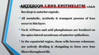 ANATOMY OF LENS AND FACTORS AFFECTING LENS TRANSPARENCY.pptx