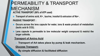 ANATOMY OF LENS AND FACTORS AFFECTING LENS TRANSPARENCY.pptx