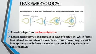 ANATOMY OF LENS AND FACTORS AFFECTING LENS TRANSPARENCY.pptx