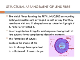 ANATOMY OF LENS AND FACTORS AFFECTING LENS TRANSPARENCY.pptx