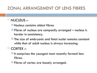ANATOMY OF LENS AND FACTORS AFFECTING LENS TRANSPARENCY.pptx